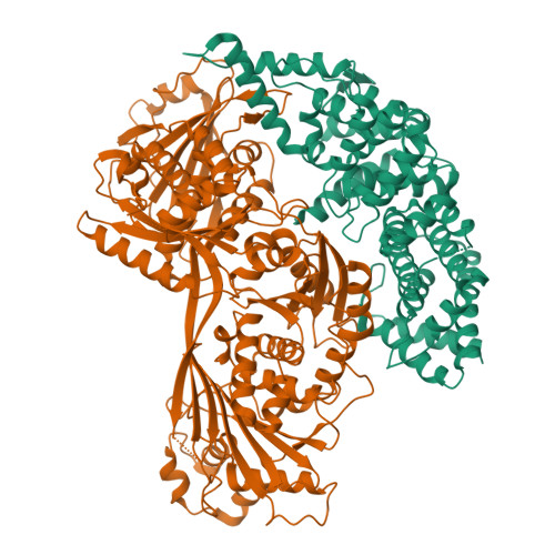 RCSB PDB - 7FIV: Crystal structure of the complex formed by Wolbachia ...