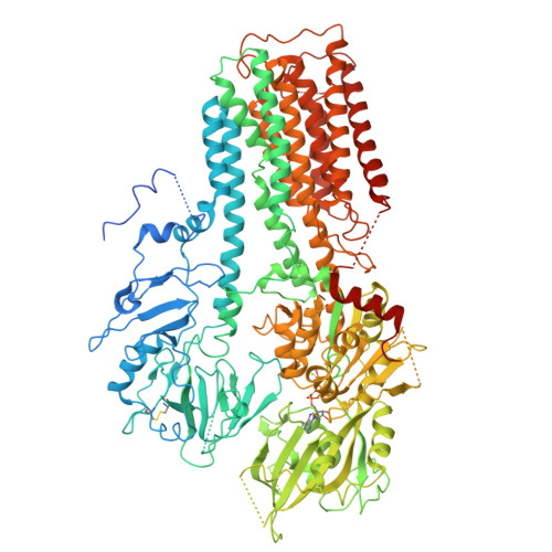 RCSB PDB - 7FJP: Cryo EM structure of lysosomal ATPase