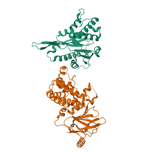RCSB PDB - 7FKJ: PanDDA analysis group deposition -- Aar2/RNaseH in ...