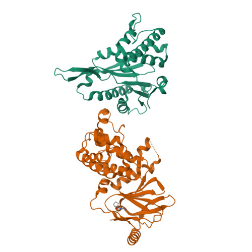 RCSB PDB - 7FNK: PanDDA analysis group deposition -- Aar2/RNaseH in ...