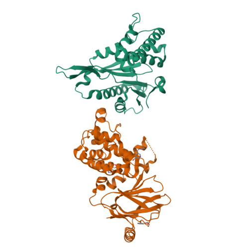 RCSB PDB - 7FNM: PanDDA analysis group deposition -- Aar2/RNaseH in ...