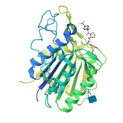 RCSB PDB - 7FQK: Crystal Structure of human Legumain in complex with ...
