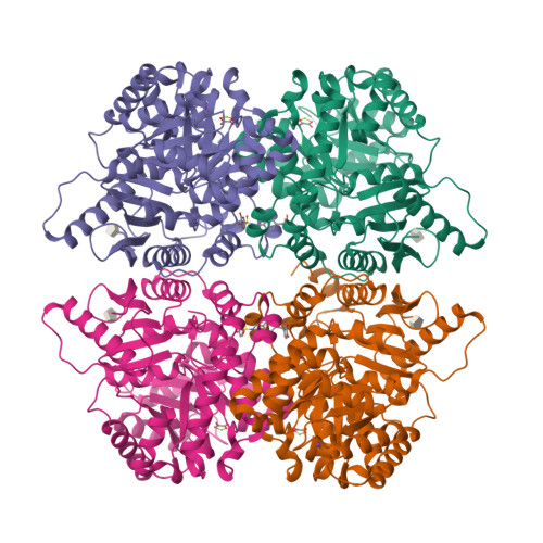 RCSB PDB - 7FSB: Structure of liver pyruvate kinase in complex with ...