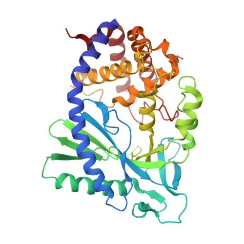 RCSB PDB - 7FTF: Crystal Structure of apo human cyclic GMP-AMP synthase