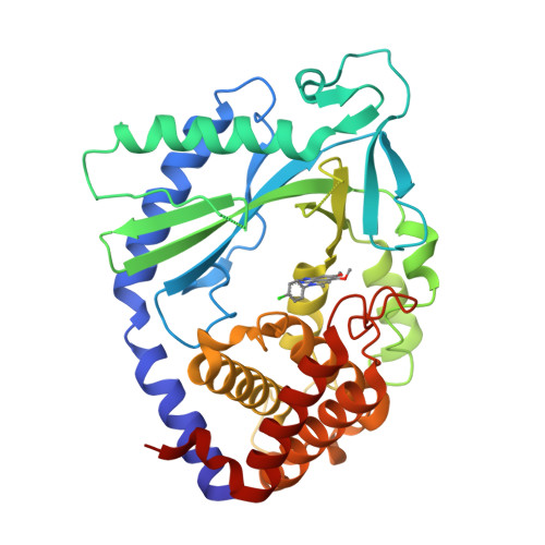 RCSB PDB - 7FTP: Crystal Structure of human cyclic GMP-AMP synthase in ...