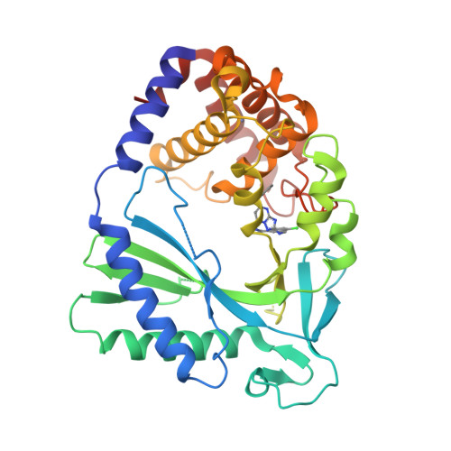 RCSB PDB - 7FUF: Crystal Structure of human cyclic GMP-AMP synthase in ...