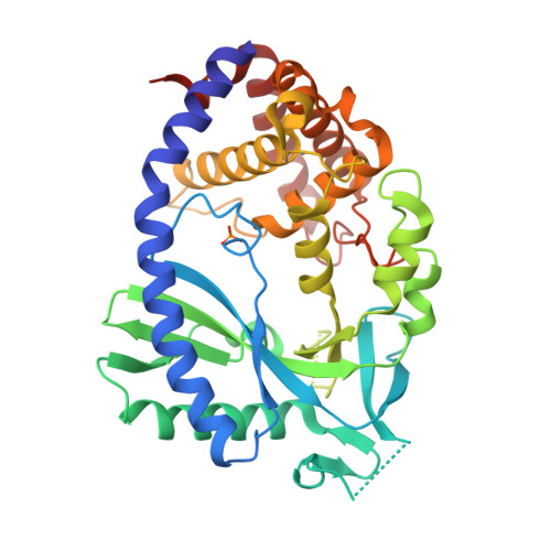 RCSB PDB - 7FUH: Crystal Structure of human cyclic GMP-AMP synthase in ...