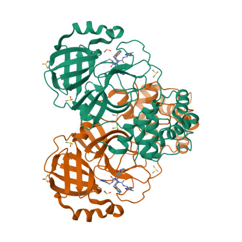 RCSB PDB - 7GHF: Group deposition SARS-CoV-2 main protease in complex with inhibitors from the ...