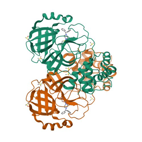 RCSB PDB - 7GHJ: Group deposition SARS-CoV-2 main protease in complex ...