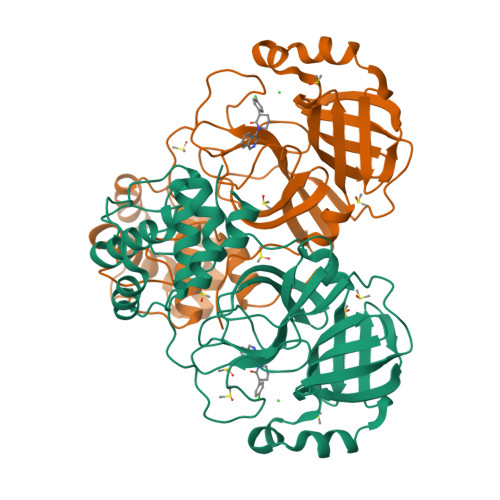 RCSB PDB - 7GHR: Group deposition SARS-CoV-2 main protease in complex with inhibitors from the ...