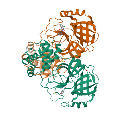 RCSB PDB - 7GIX: Group deposition SARS-CoV-2 main protease in complex with inhibitors from the ...