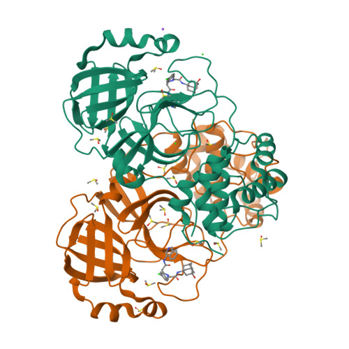 RCSB PDB - 7GNP: Group deposition SARS-CoV-2 main protease in complex ...