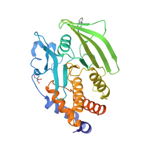 RCSB PDB - 7GTO: PanDDA Analysis group deposition -- Crystal structure ...