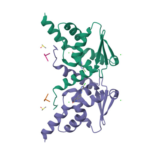 RCSB PDB - 7GWV: Crystal Structure of B-cell lymphoma 6 protein BTB ...