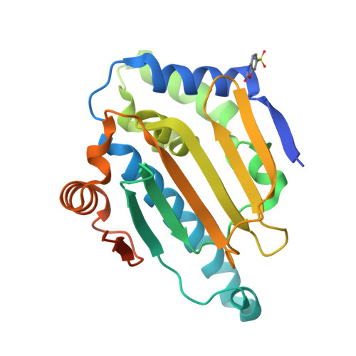 RCSB PDB - 7HBC: PanDDA analysis group deposition -- Crystal structure ...