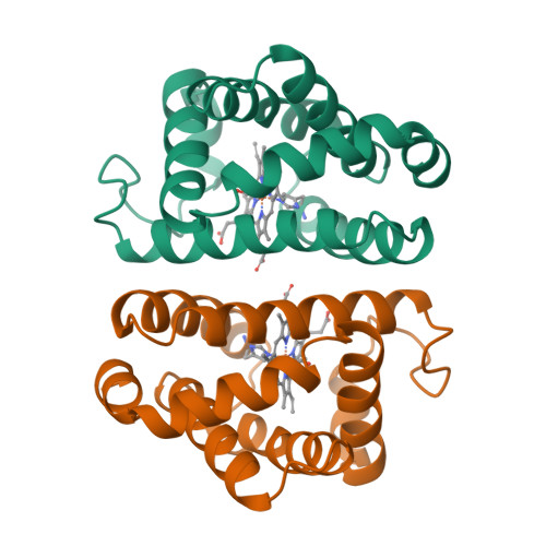 RCSB PDB - 7HBI: SCAPHARCA DIMERIC HEMOGLOBIN, MUTANT T72V, CO-LIGANDED ...