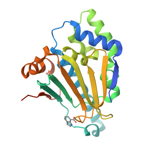 RCSB PDB - 7HBU: PanDDA analysis group deposition -- Crystal structure ...