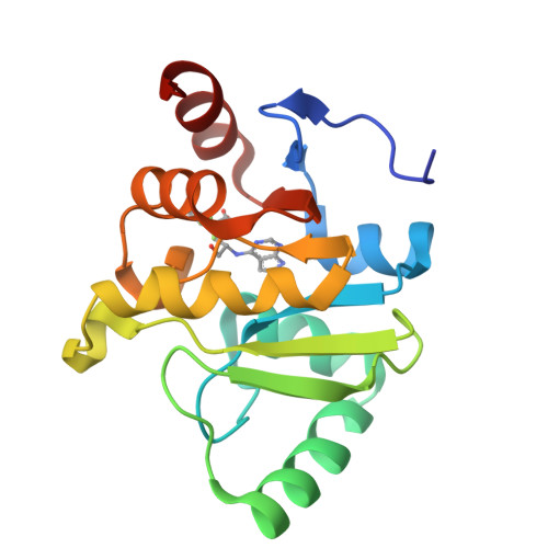 RCSB PDB - 7HDT: PanDDA analysis group deposition -- Crystal structure ...