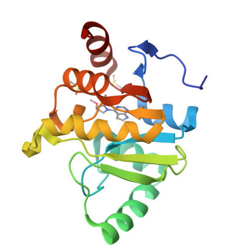 RCSB PDB - 7HE2: PanDDA analysis group deposition -- Crystal structure ...