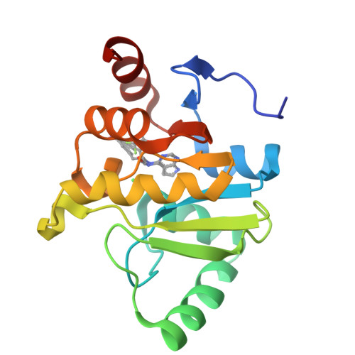 RCSB PDB - 7HEO: PanDDA analysis group deposition -- Crystal structure ...