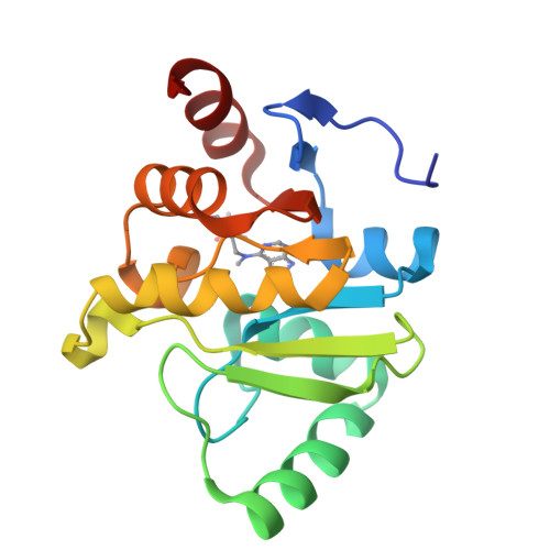 RCSB PDB - 7HFP: PanDDA analysis group deposition -- Crystal structure ...