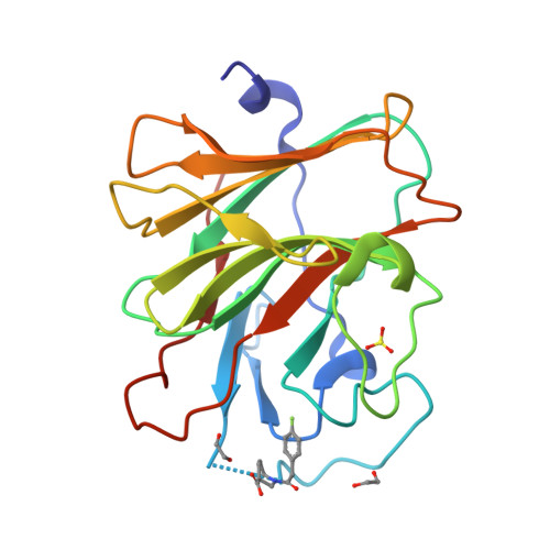RCSB PDB - 7HMZ: PanDDA analysis group deposition -- Crystal Structure ...