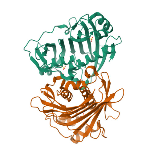 RCSB PDB - 7HR3: PanDDA analysis group deposition -- Crystal Structure ...