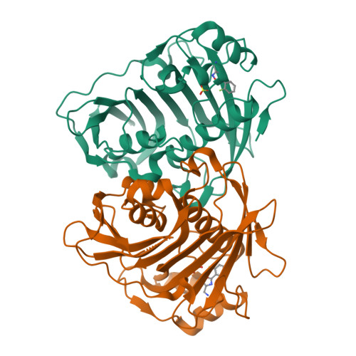 RCSB PDB - 7HSK: PanDDA analysis group deposition -- Crystal Structure ...