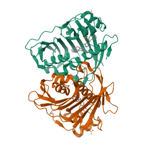 RCSB PDB - 7HSP: PanDDA analysis group deposition -- Crystal Structure ...
