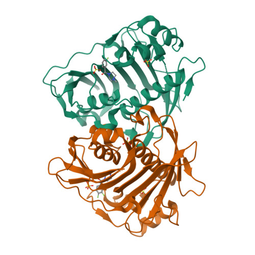 RCSB PDB - 7HTV: PanDDA analysis group deposition -- Crystal Structure ...