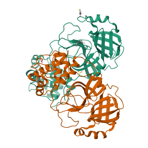 RCSB PDB - 7I1A: PanDDA analysis group deposition -- Main Protease ...