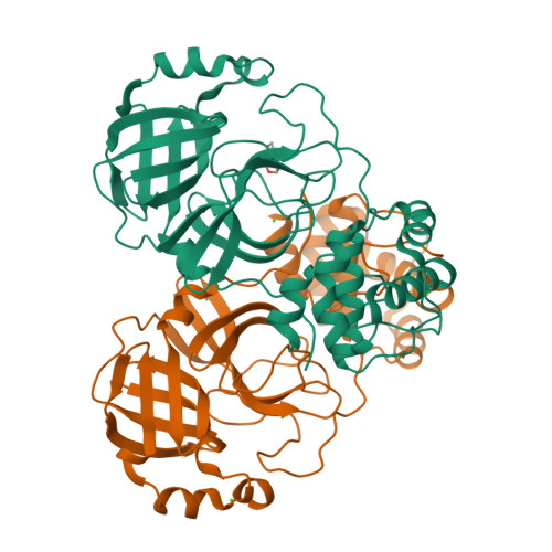 RCSB PDB - 7I1C: PanDDA analysis group deposition -- Main Protease ...