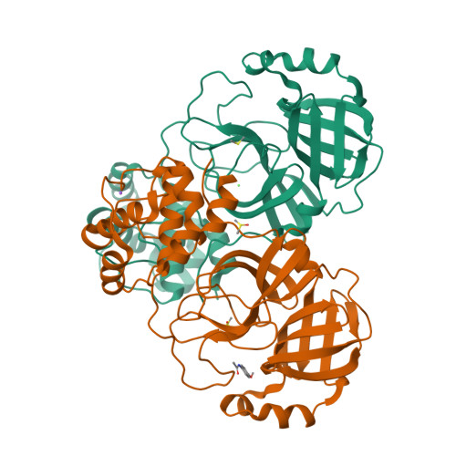 RCSB PDB - 7I1F: PanDDA analysis group deposition -- Main Protease ...