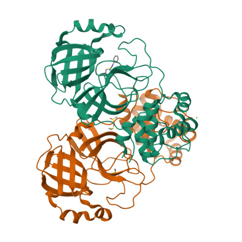 RCSB PDB - 7I1H: PanDDA analysis group deposition -- Main Protease ...