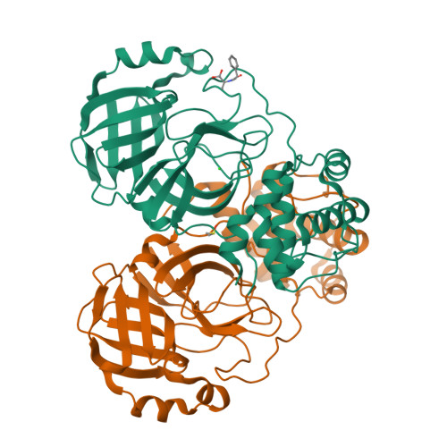 RCSB PDB - 7I1I: PanDDA analysis group deposition -- Main Protease ...