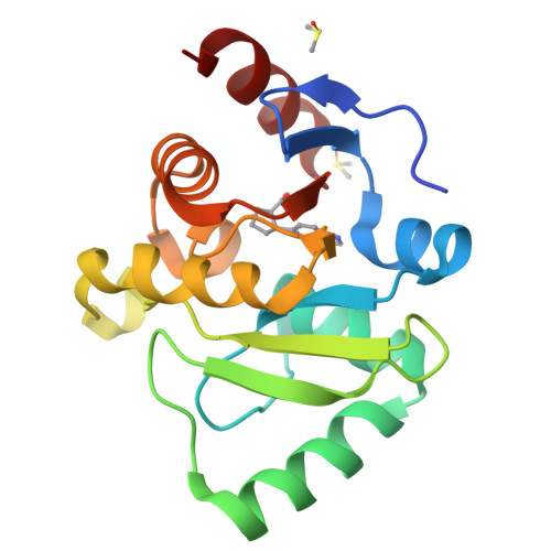 RCSB PDB - 7IJP: Group deposition of SARS-CoV-2 NSP3 Macrodomain in complex with inhibitors from ...