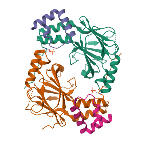 RCSB PDB - 7JFL: Crystal structure of human phosphorylated IRF-3 bound ...