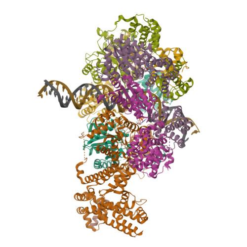 RCSB PDB - 7JGS: Structure of Drosophila ORC bound to poly(dA/dT) DNA ...