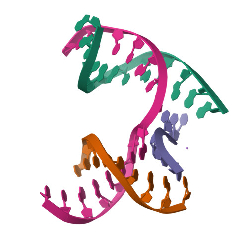 RCSB PDB - 7JI8: Self-assembly of a 3D DNA crystal lattice (4x6 ...