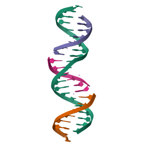 RCSB PDB - 7JL9: Self-assembly of a 3D DNA crystal lattice (4x6 ...