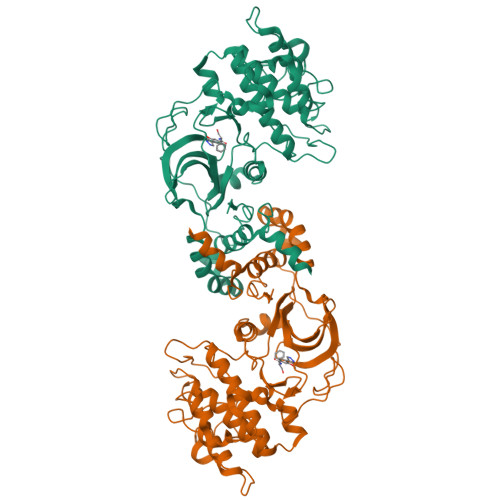 RCSB PDB - 7JOU: CRYSTAL STRUCTURE OF RHO-ASSOCIATED PROTEIN KINASE 1 ...