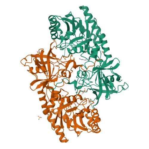RCSB PDB - 7JPJ: Crystal Structure of the essential dimeric LYSA from ...
