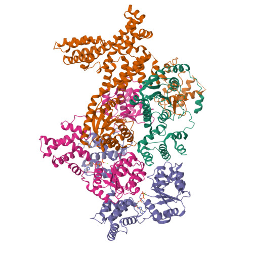 RCSB PDB - 7JPQ: ORC-O2-5: Human Origin Recognition Complex (ORC) with ...