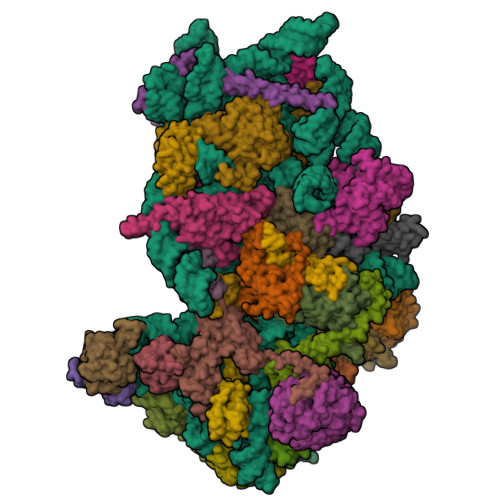 RCSB PDB - 7JQB: SARS-CoV-2 Nsp1 and rabbit 40S ribosome complex