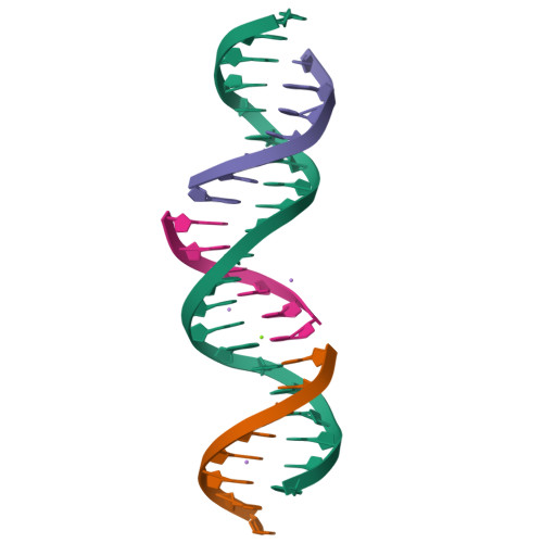 RCSB PDB - 7JRZ: Self-assembly of a 3D DNA crystal lattice (4x6 duplex ...