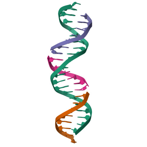 RCSB PDB - 7JS2: Self-assembly of a 3D DNA crystal lattice (4x6 duplex ...