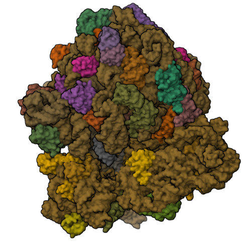Mrna Structure 3d