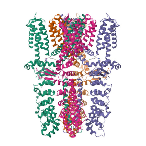 RCSB PDB - 7JUP: Structure of human TRPA1 in complex with antagonist ...