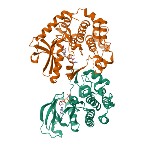 RCSB PDB - 7JUS: Crystal Structure of KSR2:MEK1 in complex with AMP-PNP ...
