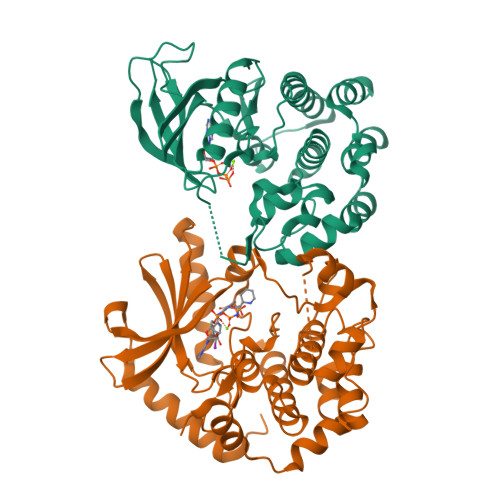 RCSB PDB - 7JUY: Crystal Structure of KSR1:MEK1 in complex with AMP-PNP ...